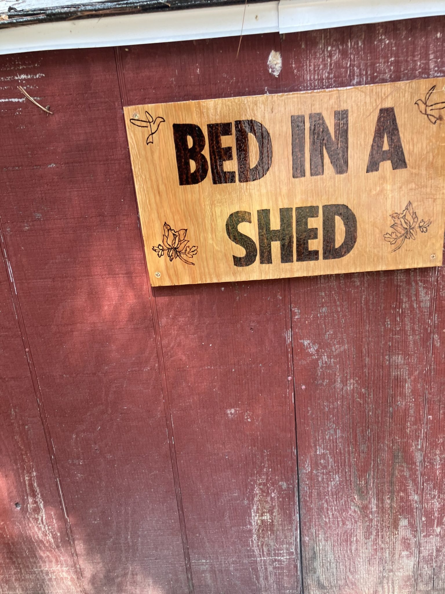 The Bed in a Shed - Bobs Lake Cottages and Escapes